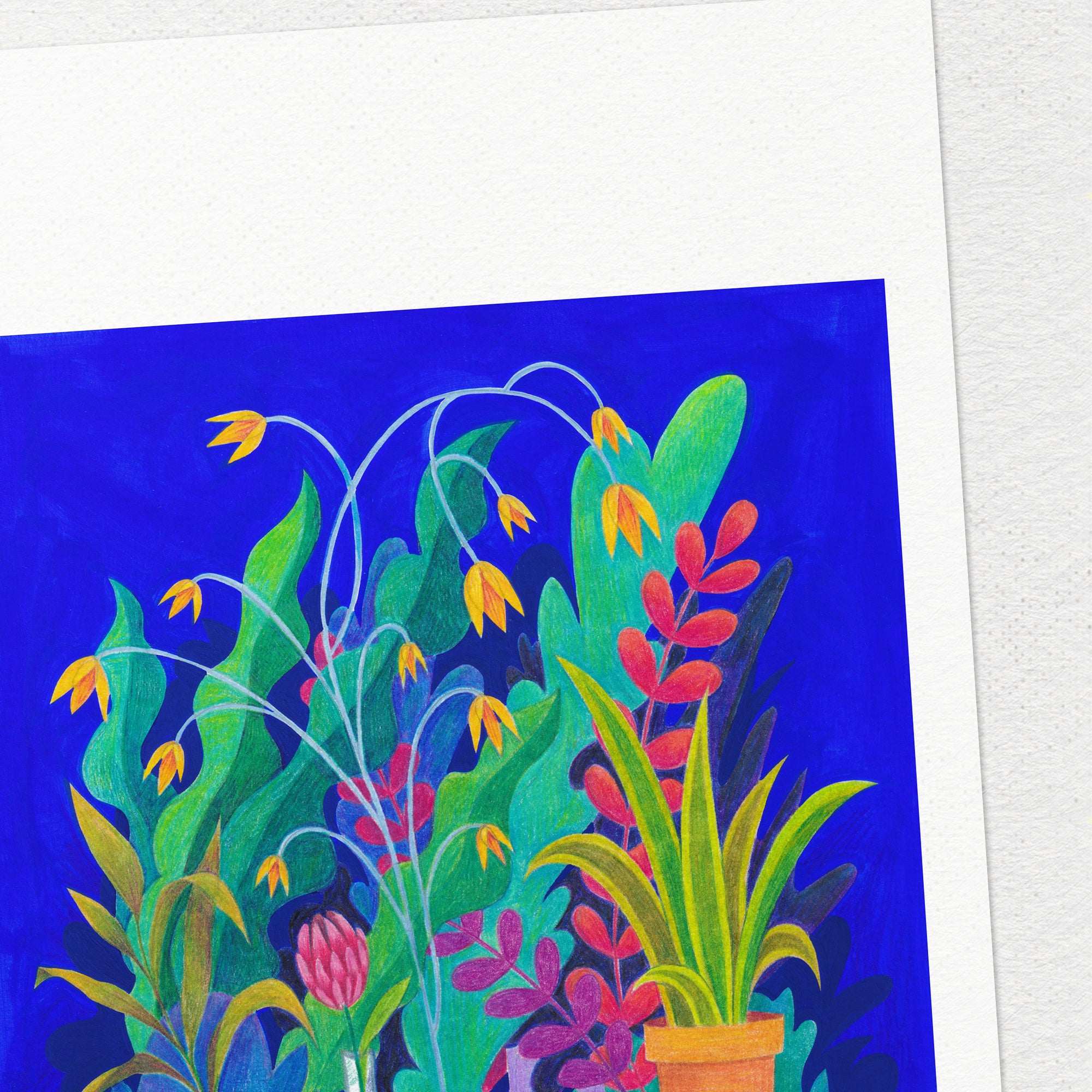 Pagmaya Art Print by Jamie Bauza – Looking for Juan